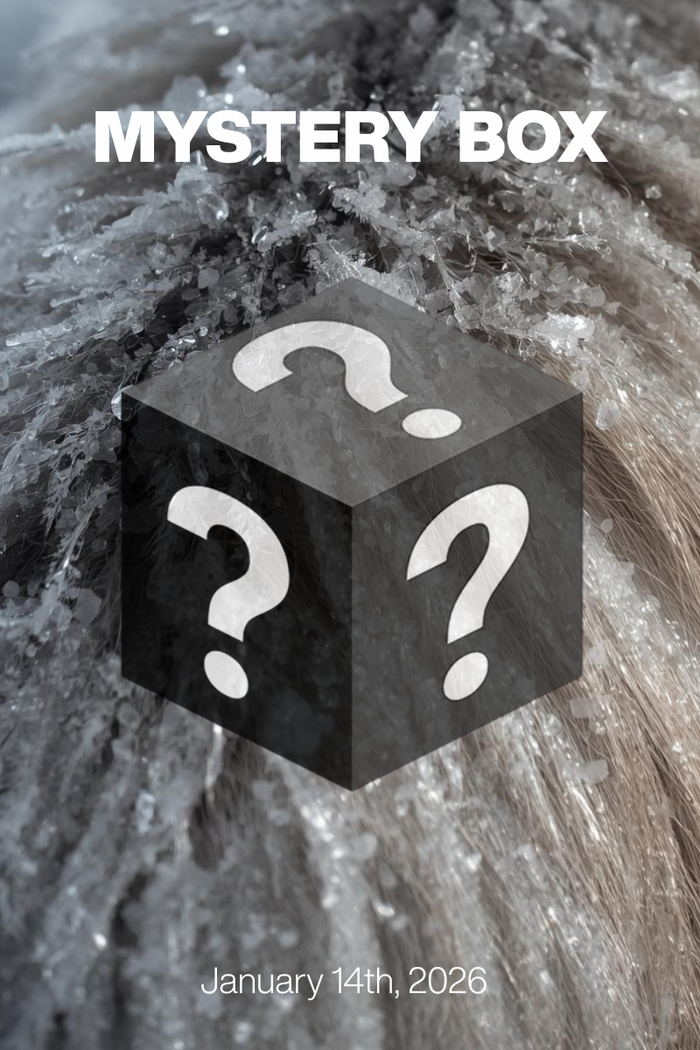 MYSTERY BOX Jan 14th, 2026: Charcoal Elegance at $79/$99 + Designer Sh