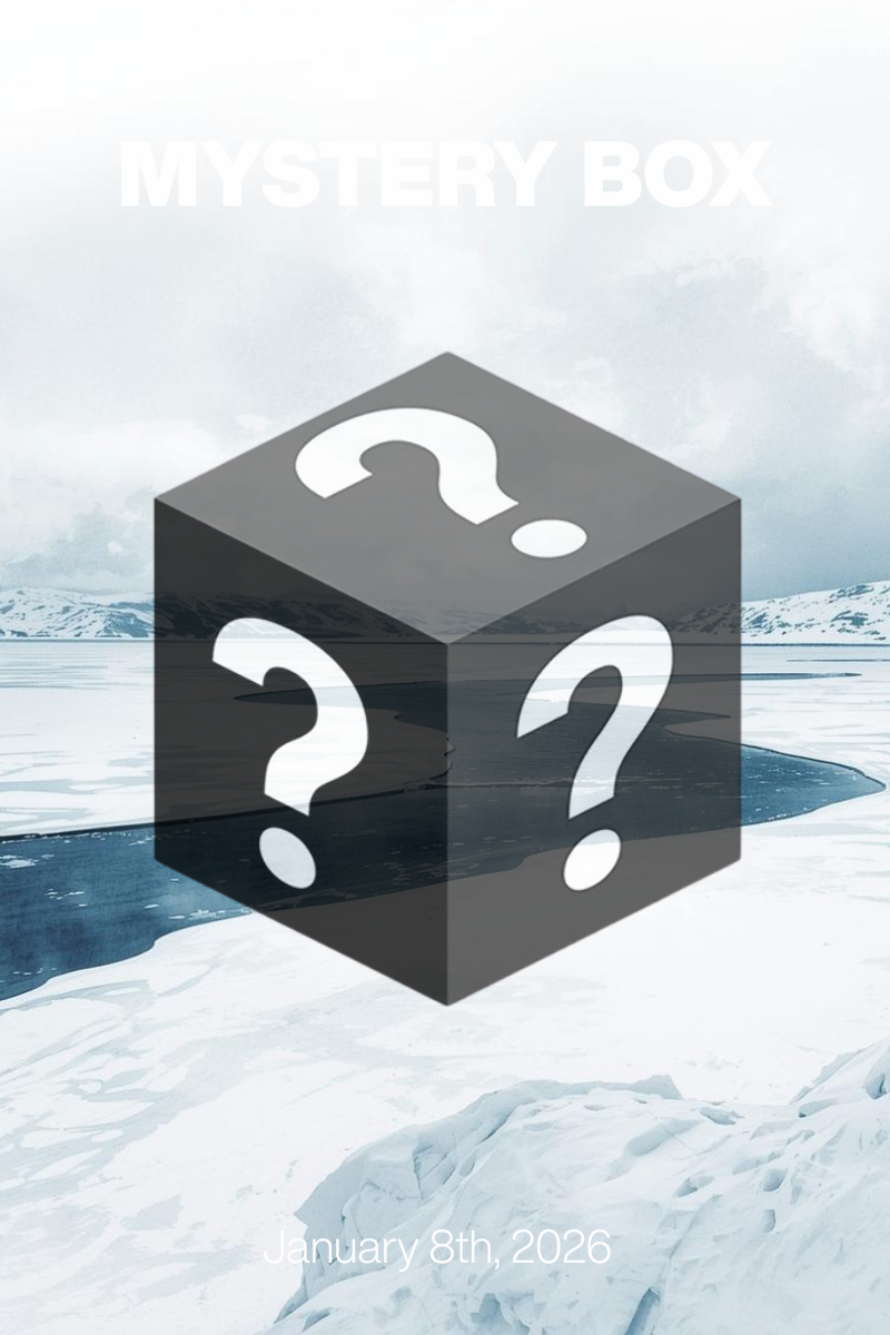 MYSTERY BOX Jan 8th, 2026: Polar Precision at $79/$99 + Designer Shoes